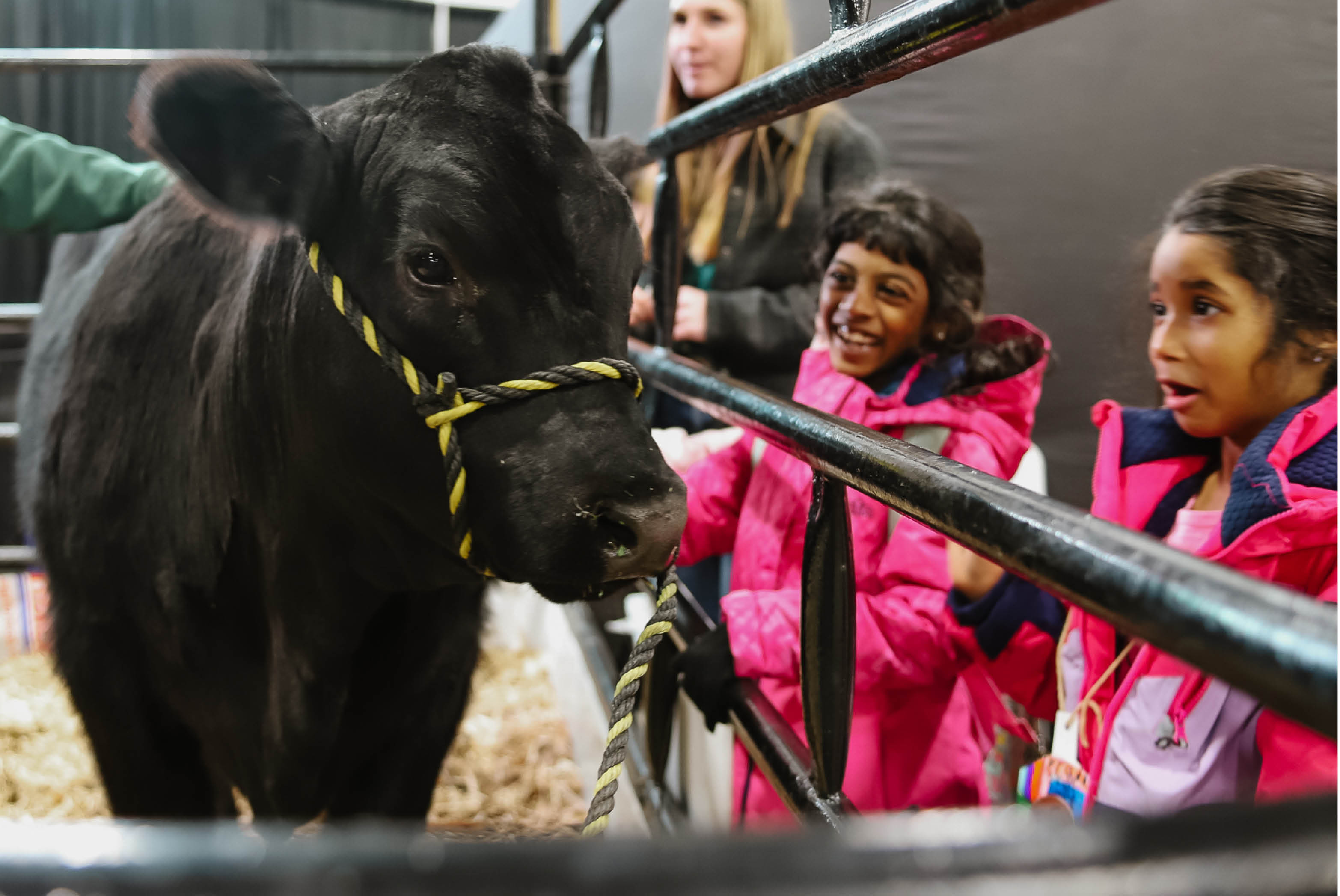 Agribition Agri-Ed Program