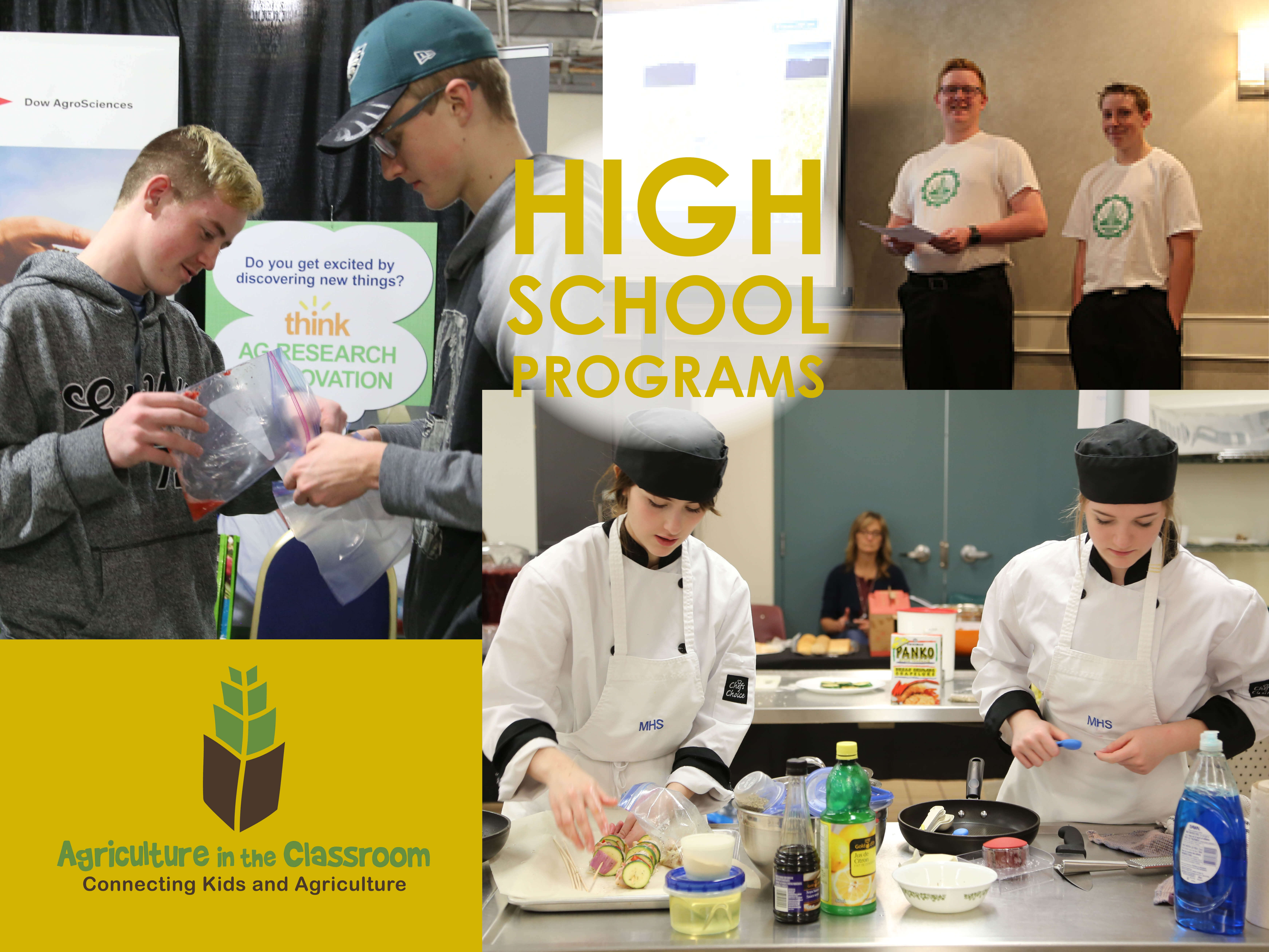 High School Programs