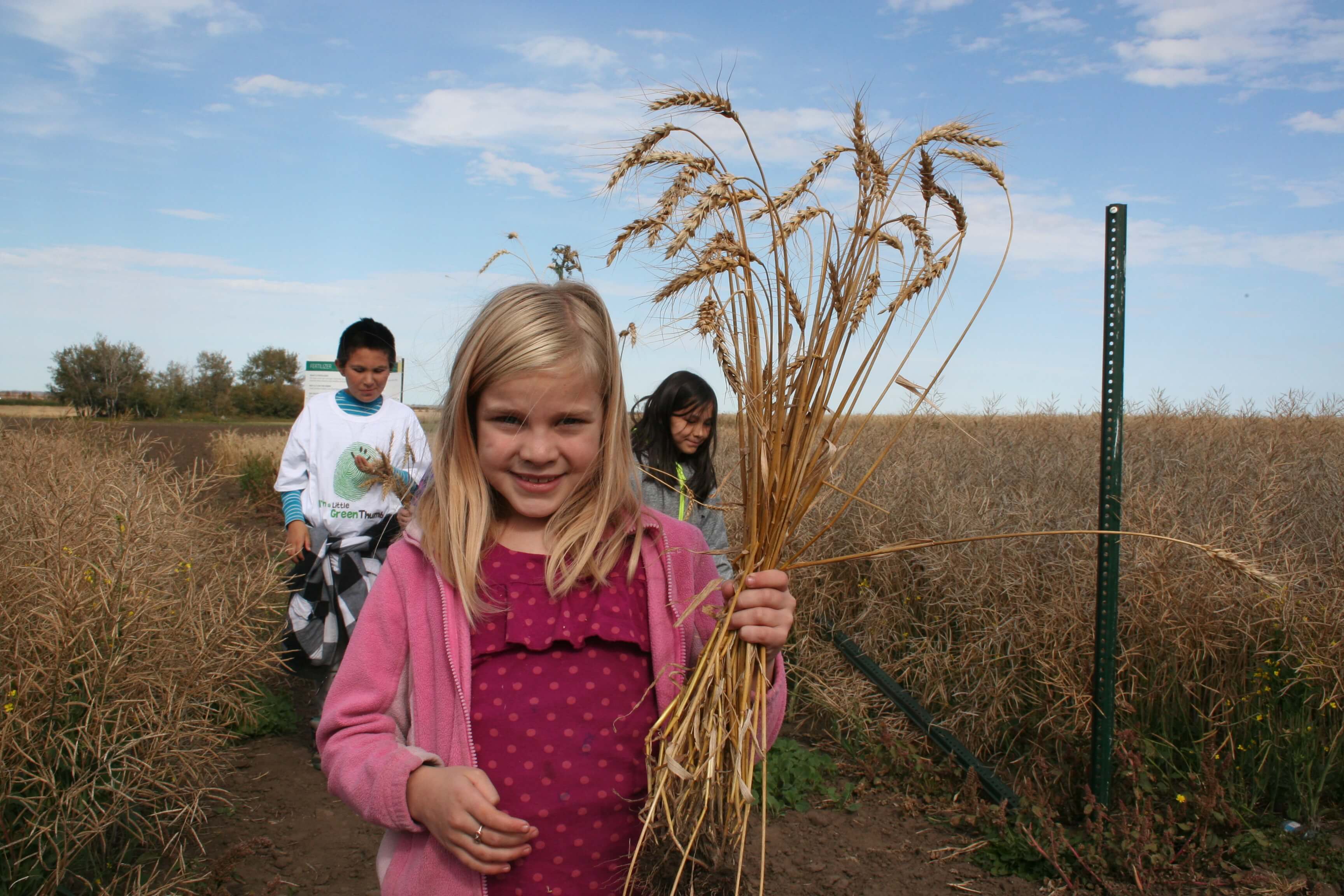 Food Farm